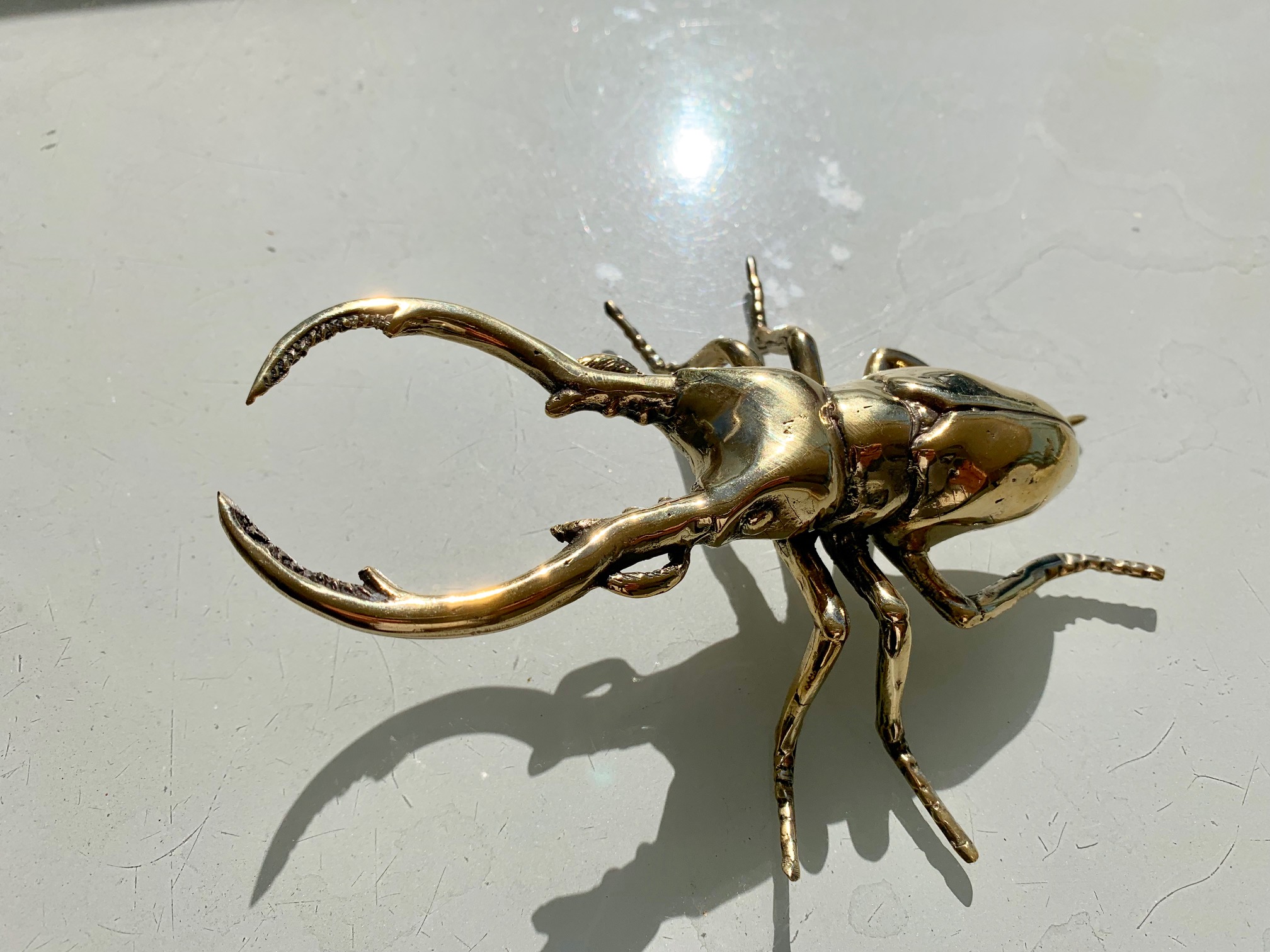 100% brass STAG beetle old style look polished statue 6 ” heavy cast ...